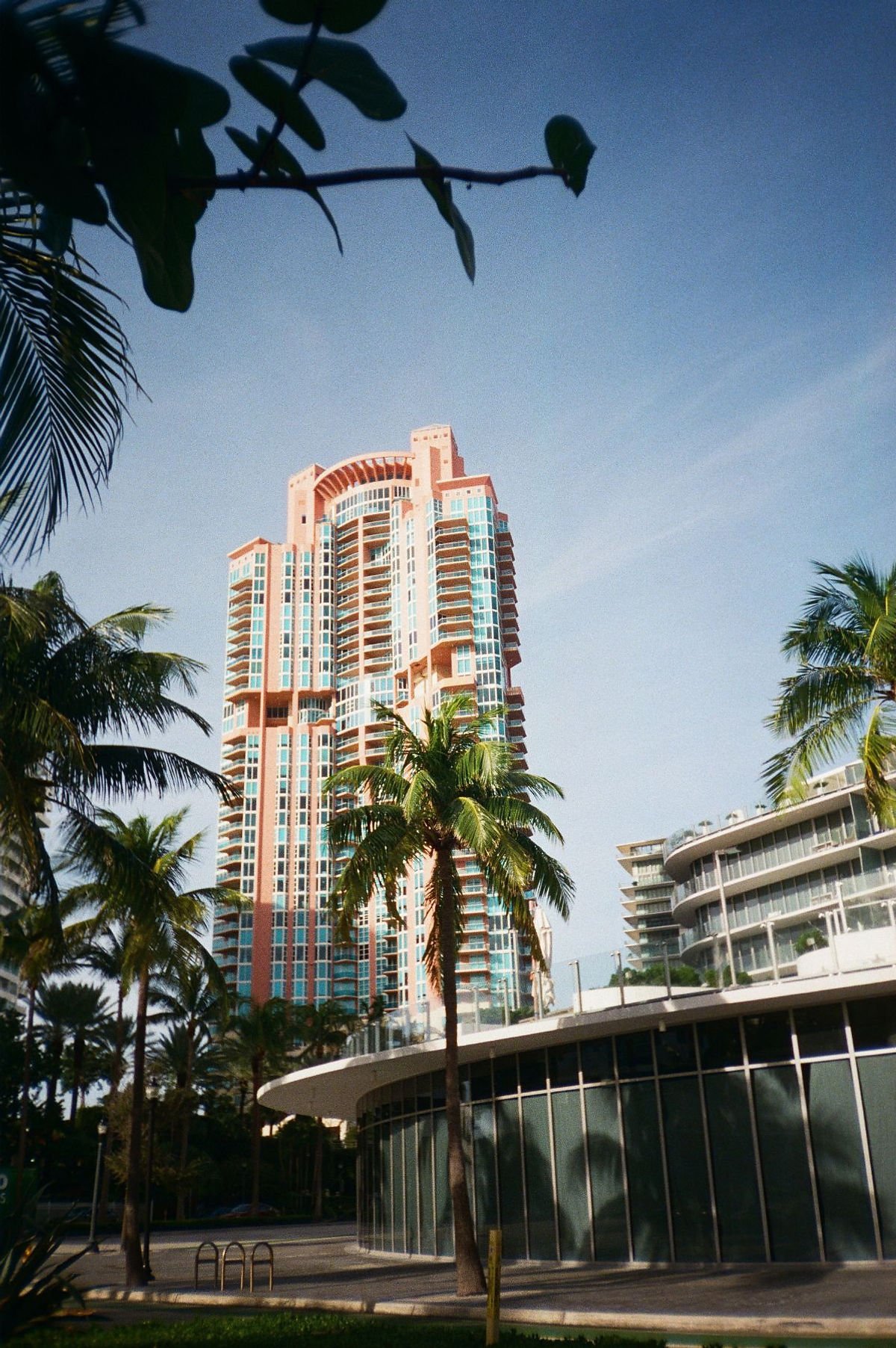 Kodak Portra 800 Film Review & Examples: Day & Night - Film Processing